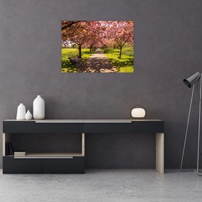 Skleněný obraz - sad třešní (70x50 cm)