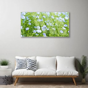 akrylový obraz Květiny Tráva Rostlina Příroda 100x50 cm