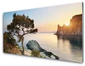 Obraz na skle Jezero Strom Krajina 100x50 cm