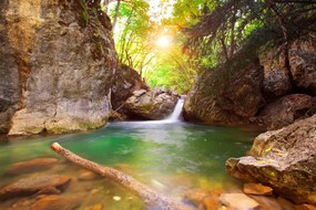 Fototapeta Horská řeka - krajina vodopádu padajícího do jezera uprostřed lesa