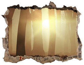 Wallmuralia Nálepka fototapeta 3D výhled Mlha v lese 95x64 cm
