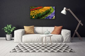 Obraz na plátně Květiny Zahrada Tulipány 120x60 cm