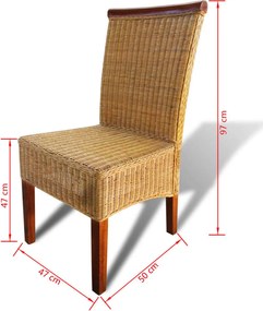 vidaXL Jídelní židle 2 ks hnědé přírodní ratan [243235]