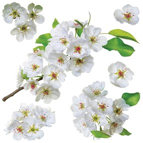 Samolepicí dekorace Apple blossom, 30 x 30 cm
