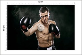 Fototapeta Muay Thai Boxer Samolepící tapety 152.5x104