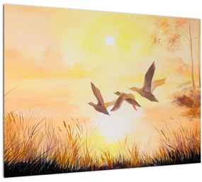 Obraz - Jeřábi při západu slunce (70x50 cm)