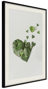 Plakát Milostný břečťan - krásná kompozice s zelenými rostlinami na bílém pozadí