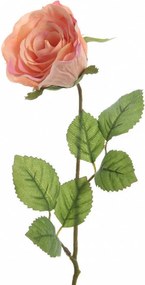 XXXLutz RŮŽE 45 cm - Umělé květiny - 003754999744