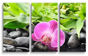 Sablio Obraz - 3-dílný Růžová orchidej - 120x80 cm