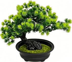 Sinsay - Dekorační rostlina bonsai v květináči - zelená