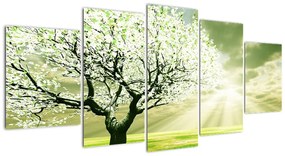 Jarní strom - moderní obraz
