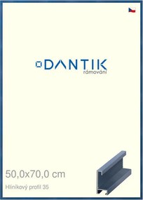 DANTIK rámeček 50x70 | ALU profil 6035 Dýha barevná modrá královská (Plexi Čiré)