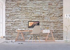 Fototapeta na míru Kamenný Obklad | Výroba na míru | DFTNXXL2412