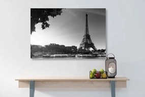 Obraz podzimní Paříž v černobílém provedení - 90x60 cm