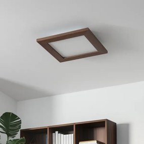Brilagi - LED Stmívatelné svítidlo SLIMFRAME WOOD LED/25W/230V 34x34 cm + DO