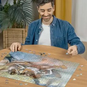 Ravensburger Edgar Degas: Čtyři baletky na scéně / 1000 dílků / od 14