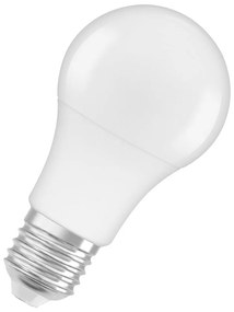 LED klasická LED žárovka E27 6,5 W STAR, studená bílá
