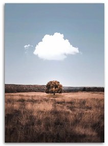 Obraz na plátně Stromové pole Krajina - 40x60 cm