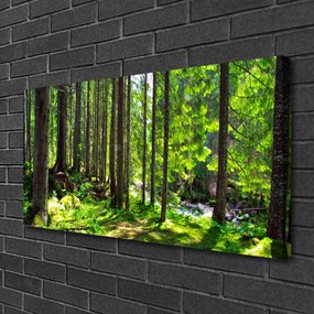 Obraz na plátně Les Stromy Rostlina Příroda 100x50 cm