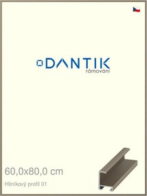 DANTIK rámeček 60x80 | ALU profil 6001 champagne (Plexi Čiré)