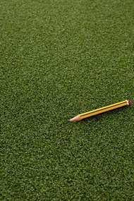 Umělá tráva Lano Easy Lawn Green 510