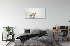Obraz na skle Hrát s tím psem 120x60 cm