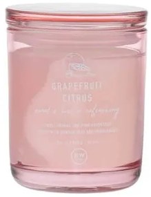 dw HOME Vonná svíčka ve skle Grapefruit Citrus 264 g, růžová barva, sklo