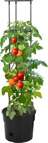 Truhlík na pěstování rajčat antracit Ø 29,5x115 cm polypropylen 152209