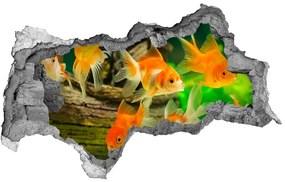Wallmuralia Díra 3D foto tapeta nálepka Zlaté rybičky 95x73 cm