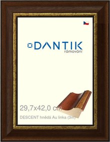 DANTIK rámeček 29,7x42 | DESCENT hnědá Au linka (Plexi Čiré)