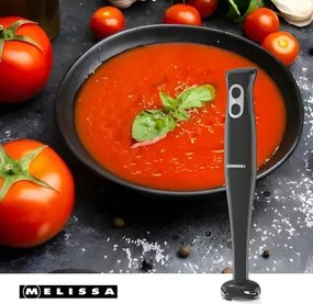 Melissa Ruční mixér černá / Ruční mixér / 400 W / 2 rychlosti / Nerezo