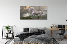 akrylový obraz Unicorn mraky 140x70 cm