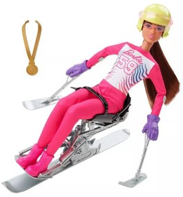 Mattel barbie zimní sporty paralympijská lyžařka, hcn33