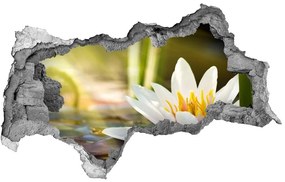Wallmuralia Samolepící díra nálepka Vodní lilie 95x73 cm