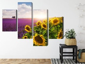 Vícedílný obraz Levandulová A Slunečnicová Pole 3D Nedostatek Nedostatek Plátno Canvas 240x150