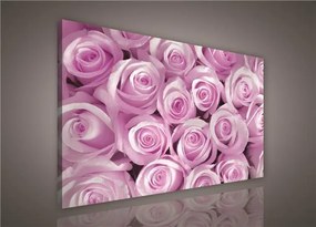 Obraz na plátně růžové růže 100 x 75 cm