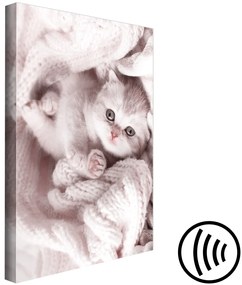 Obraz Roztomilý kočičák (1-dílný) - zvířátko zavinuté do pastelové deky