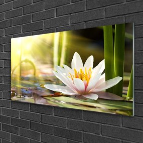 Obraz na skle Květ Vodní Lilie 125x50 cm