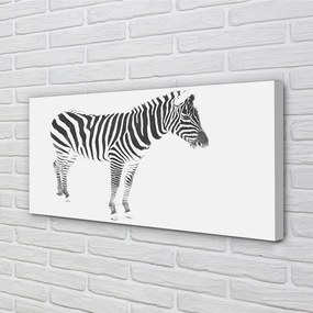 Obrazy na plátně malované zebra 140x70 cm