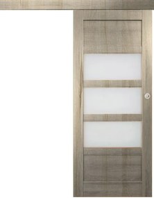 posuvné interiérové dveře na stěnu vasco doors BRAGA model B Průchozí rozměr: 70 x 197 cm, Orientace dveří: Levé dveře, Dekor: Dub stříbrný