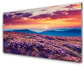 Obraz na skle Louka Hory Květiny Příroda 100x50 cm