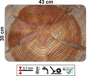 PokojovaDekorace.cz, Prostírání - 039, Imitace dřeva, 43x30cm