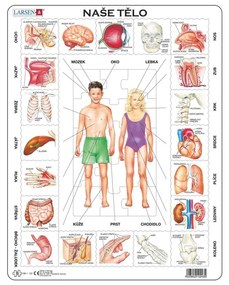 Larsen Vzdělávací puzzle Naše tělo 35 dílků