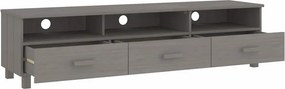 TV stolek HAMAR světle šedý 158 x 40 x 40 cm masivní borovice 340475
