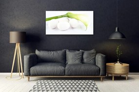 akrylový obraz Vajíčka 100x50 cm