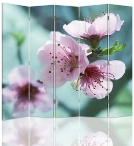 Ozdobný paraván Růžový květ jabloně - 180x170 cm, pětidílný, obustranný paraván 360°