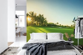 Fototapeta Golfové Hřiště Při Východu Slunce Hladký vinyl 360x240