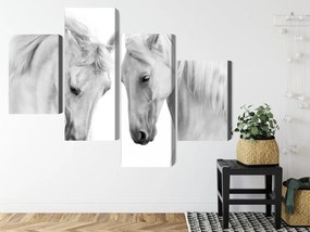 Vícedílný obraz Dva Koně Na Bílém Pozadí Nedostatek Nedostatek Plátno Canvas 240x150