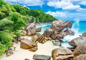 Castorland 54251 Puzzle La Digue, Seychely / 500 dílků / od 9 let