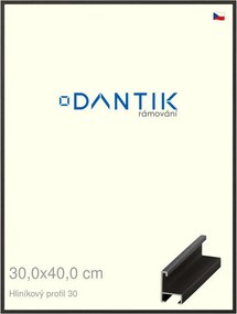 DANTIK rámeček 30x40 | ALU profil 6030 Dýha černá (Plexi Čiré)